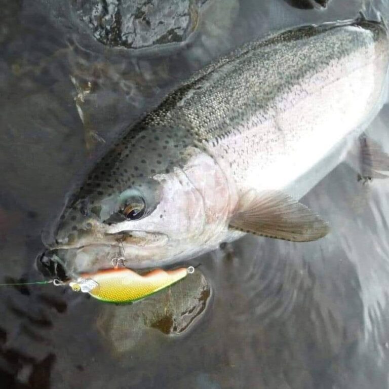 固定重心ﾊﾞﾙｻﾐﾉｰ ”greed” 60 HS – ハンドメイドルアー｜BLACK CAT Lures